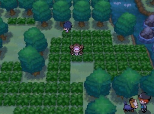 新ポケモンBW2 第4話「ハーデリアを探せ！プラズマ団復活」: ポンこつゲームステーション